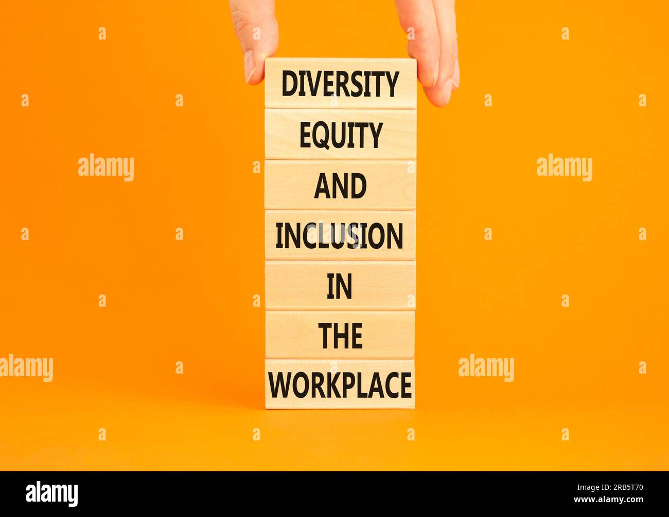 Diversity equity inclusion symbol. Concept words Diversity Equity and ...