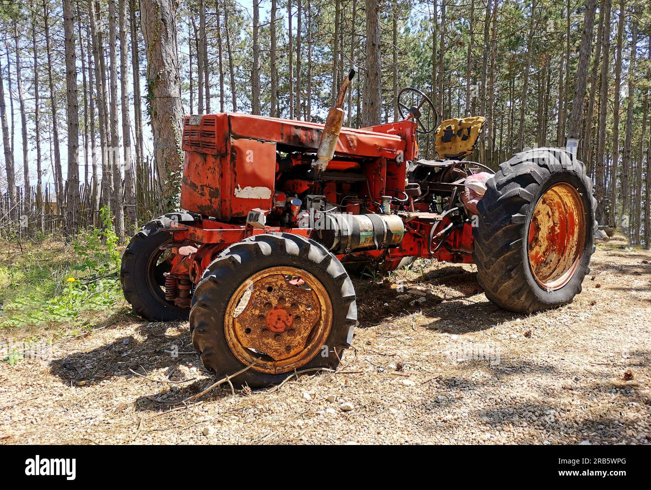 Very old tractor in forest. Red tractor! Stock Photo - Alamy