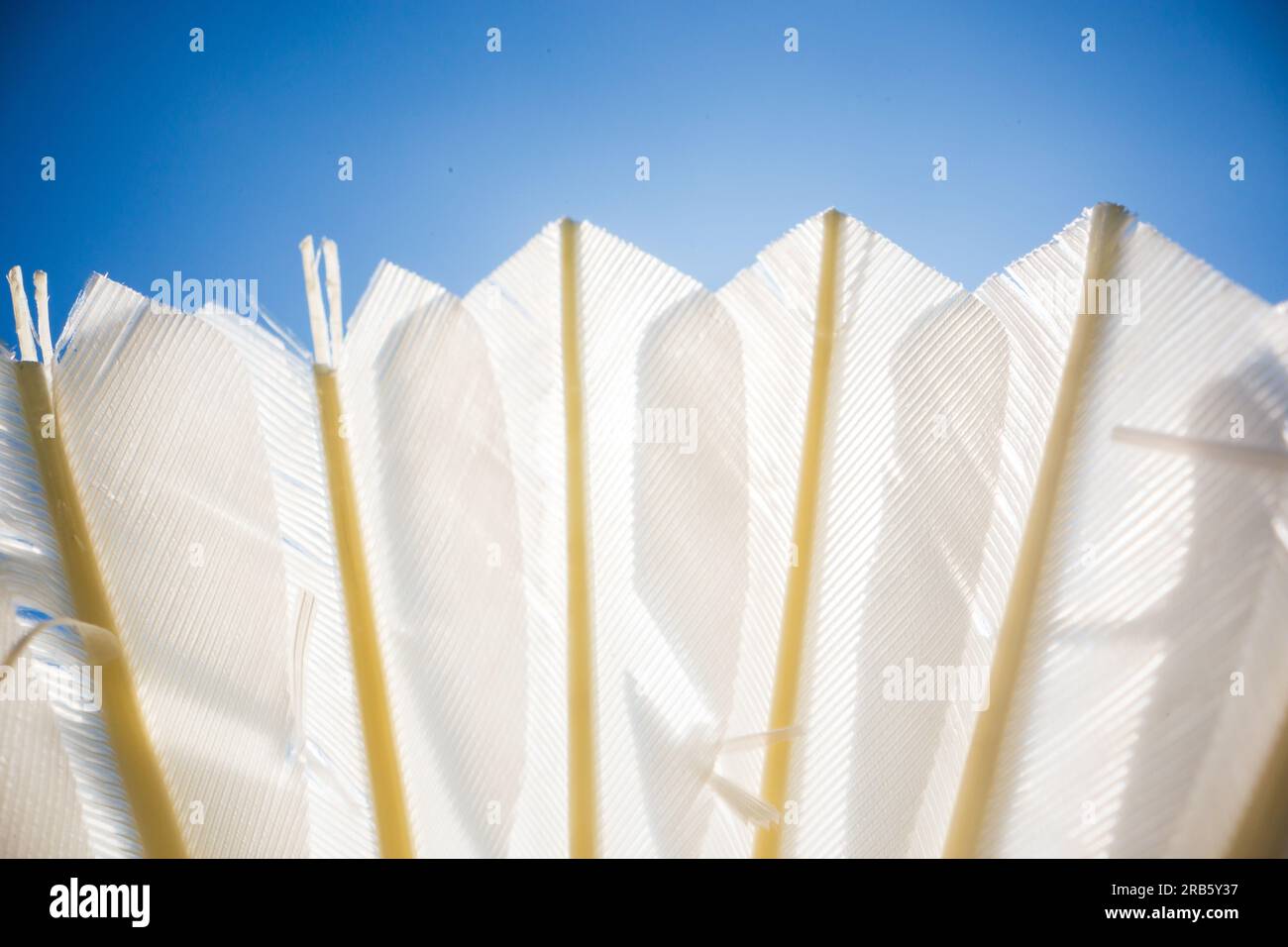 Shuttlecock for badminton close-up. Detailed texture and expressive ...