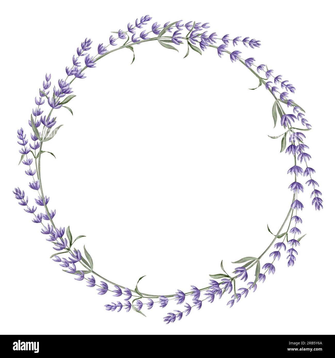 Lavender Wreath. Hand drawn watercolor floral circle Frame on white ...