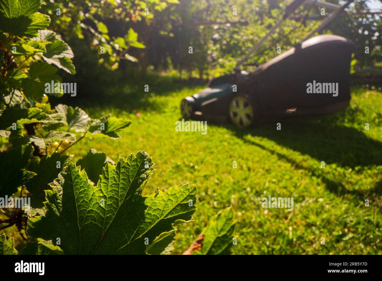 Lawn mover on green grass in modern garden or backyard. Machine for ...