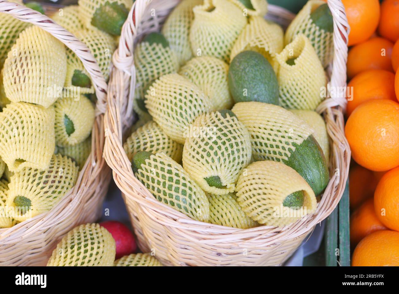 many avocado display for sale at local store Stock Photo - Alamy