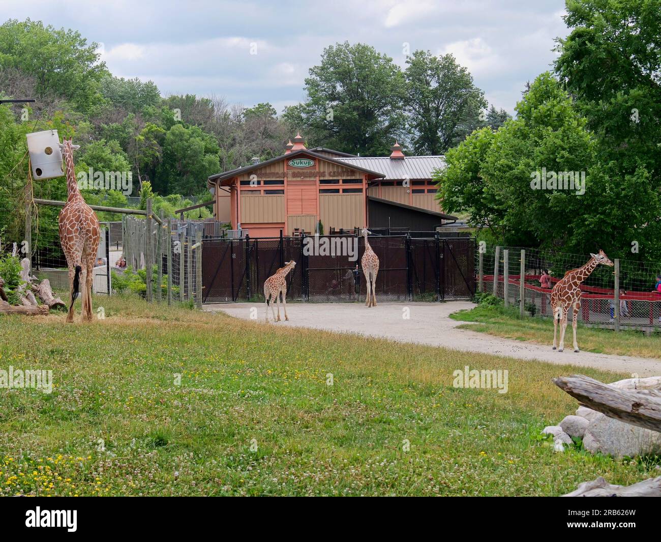 Blank park zoo iowa hi-res stock photography and images - Alamy