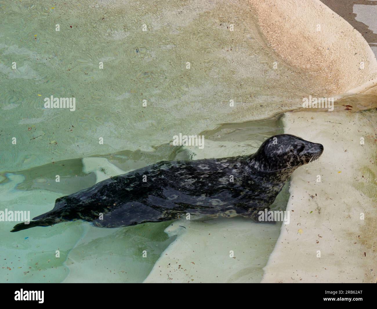 Blank zoo des moines hi-res stock photography and images - Alamy