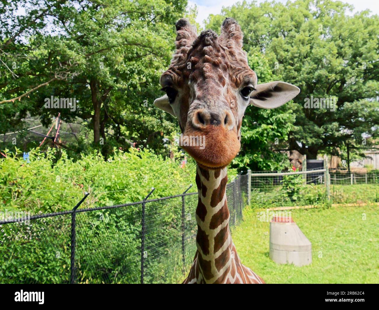 Blank park zoo des moines hi-res stock photography and images - Alamy