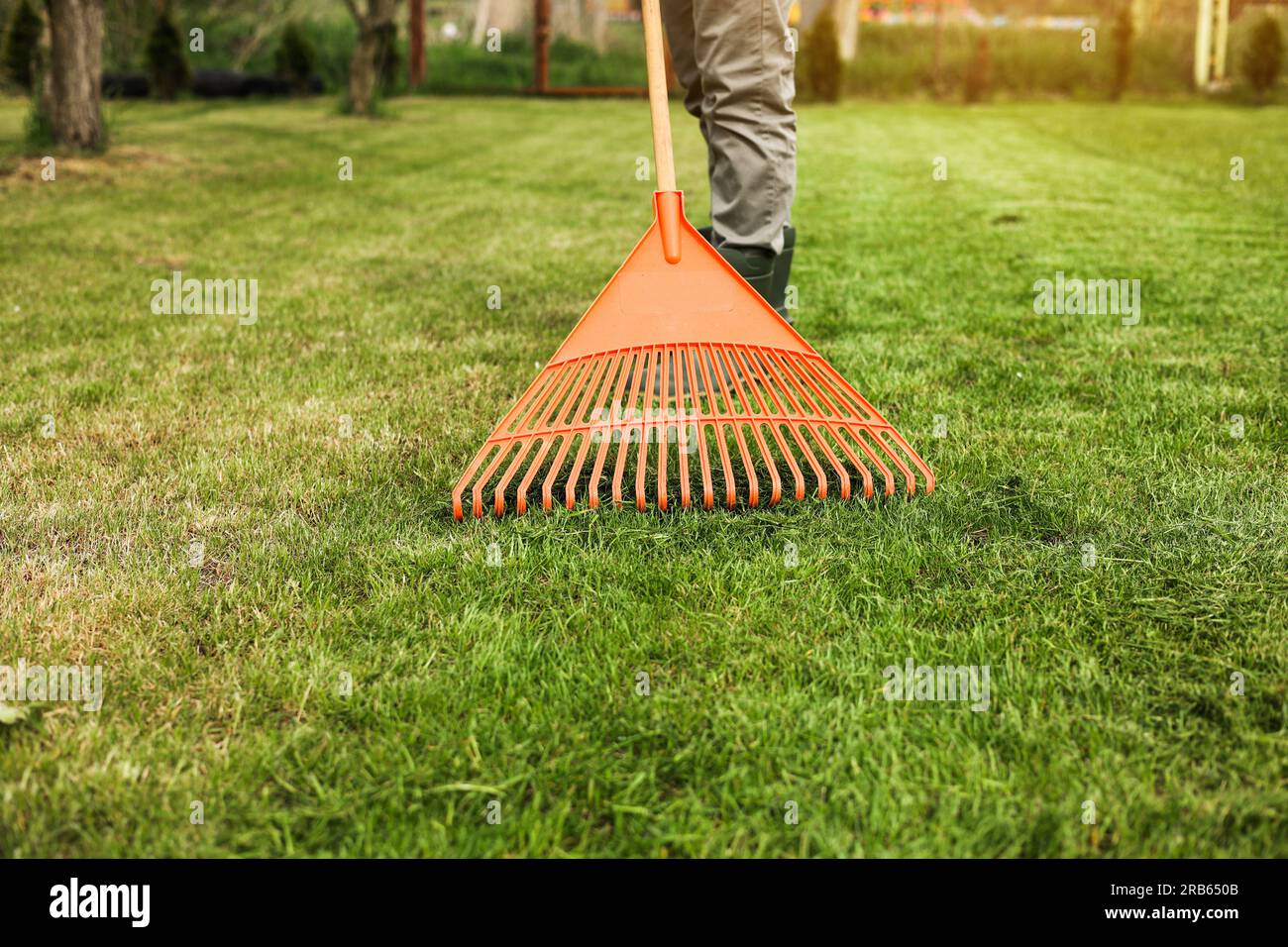 Male gardener collects cut grass with orange plastic rake after a mower ...