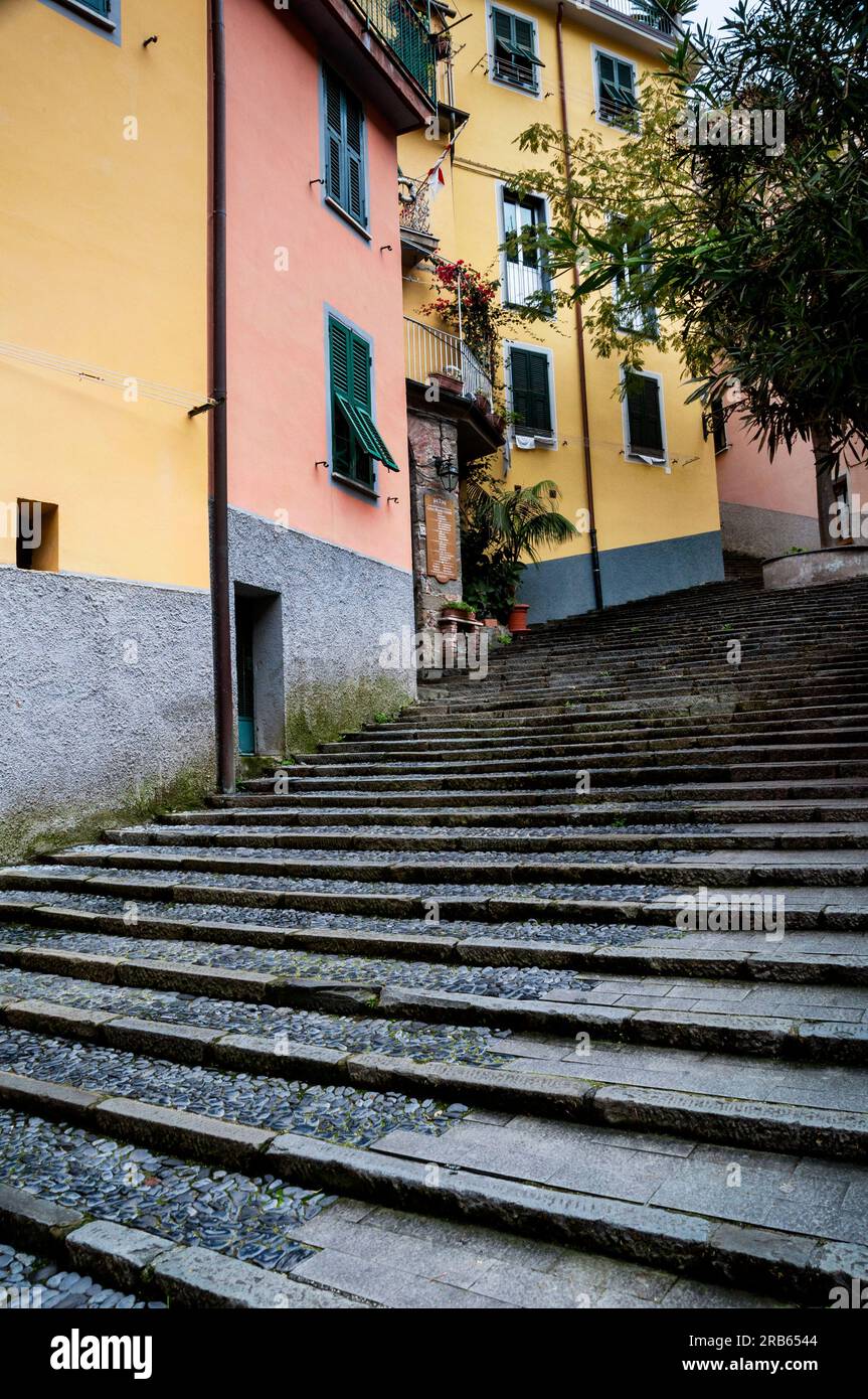 Stone stairway on Via Colombo pedestrian street in Riomaggiore, Cinque ...