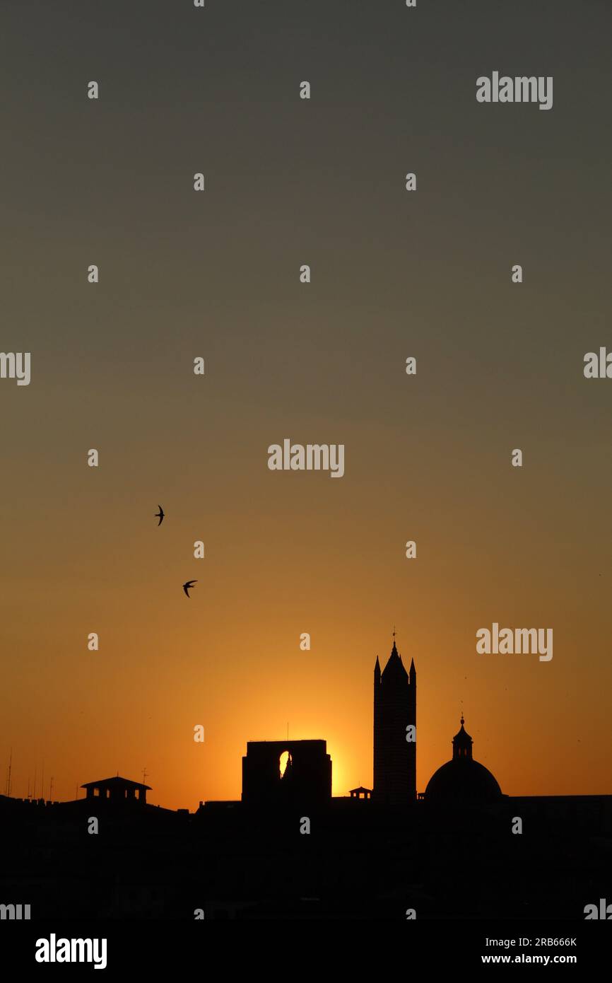 Golden sun in the tuscany hi-res stock photography and images - Alamy