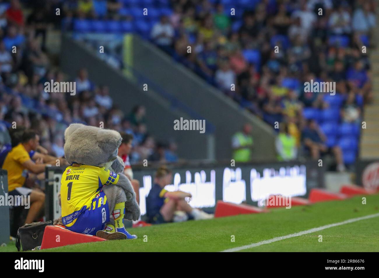 Warrington wolves mascot hi-res stock photography and images - Alamy