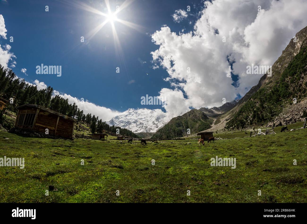 Beyal Camp (Altitude: 3550 m), Nanga Parbat Base Camp Track, Pakistan ...