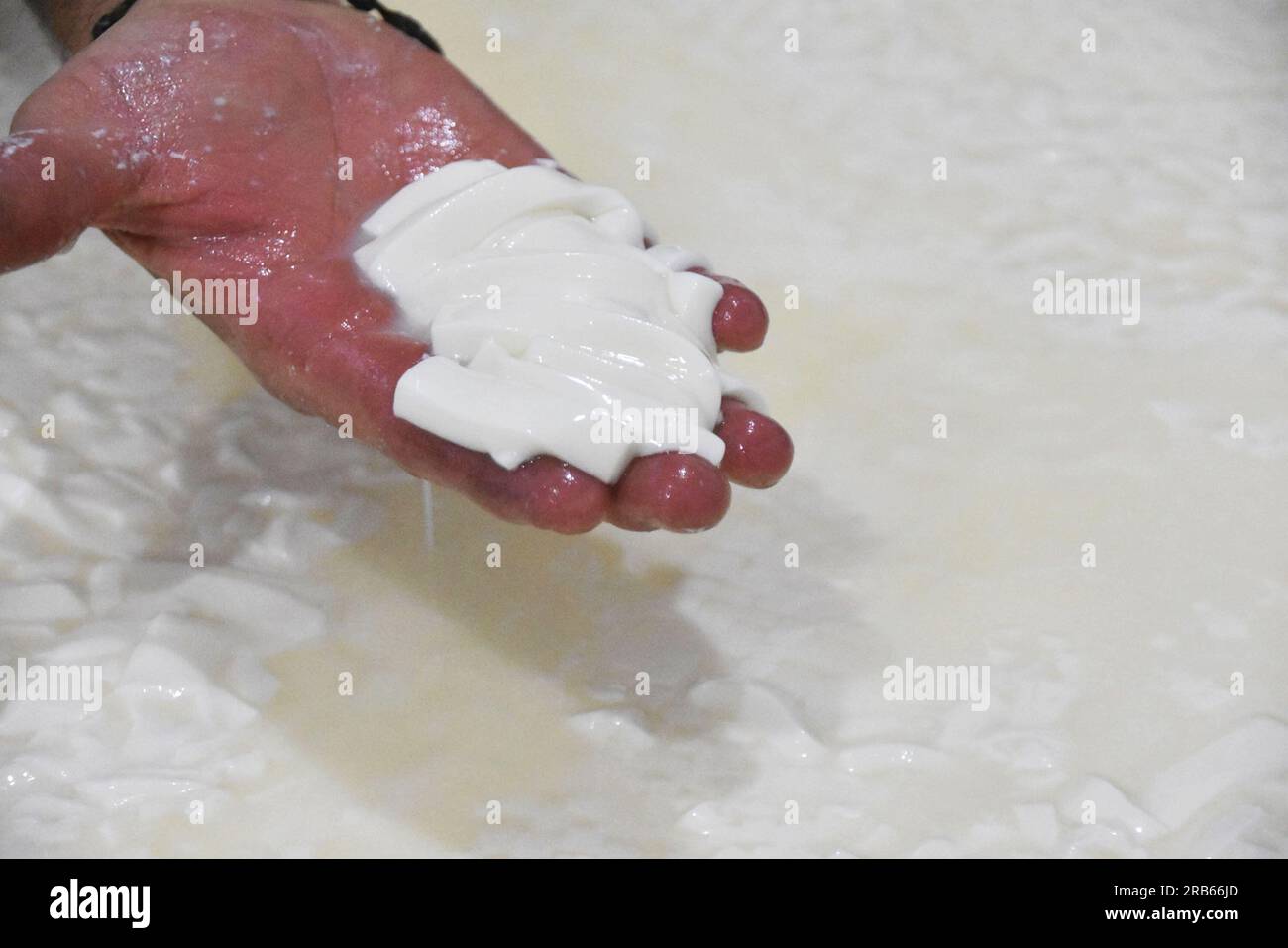 Panela cheese mexico hi-res stock photography and images - Alamy