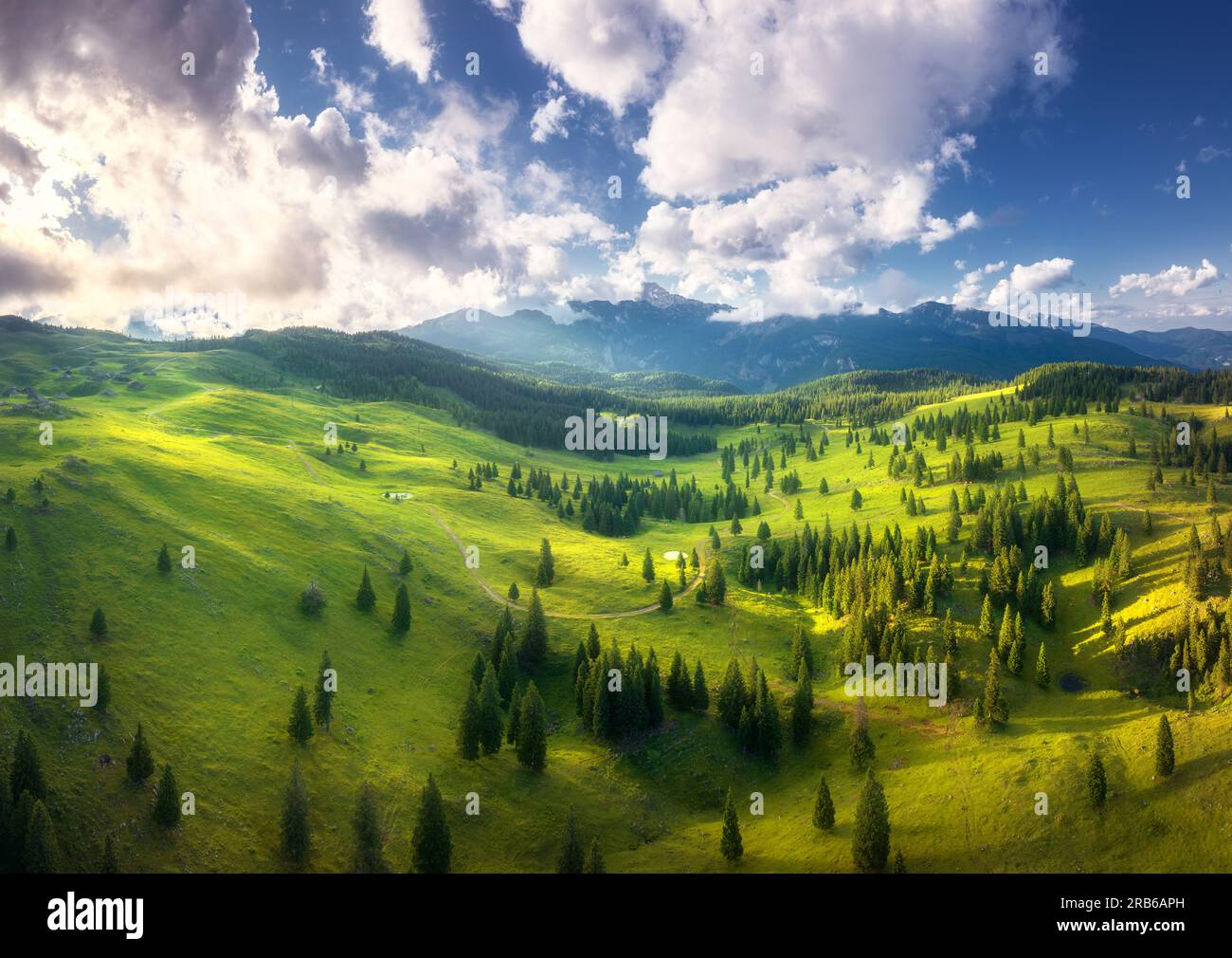 Aerial view of green alpine meadows on the hills at sunset Stock Photo ...