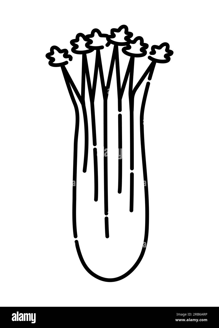 Celery vector vectors Black and White Stock Photos & Images - Alamy