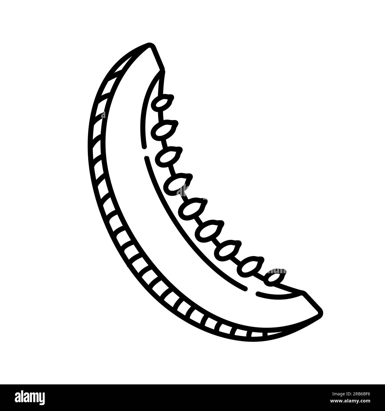 Melon Black And White Vector Line Icon Stock Vector Image And Art Alamy 9669