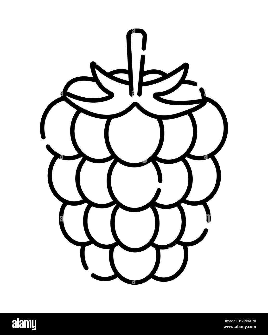 Raspberry vector vectors Black and White Stock Photos & Images - Alamy