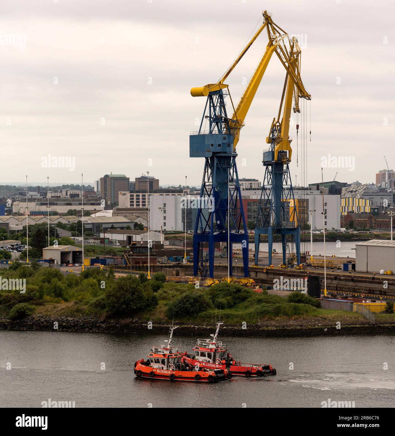 Belfast docks, Unied Kingdom. 7 June 2023. Cranes alongside the dry ...
