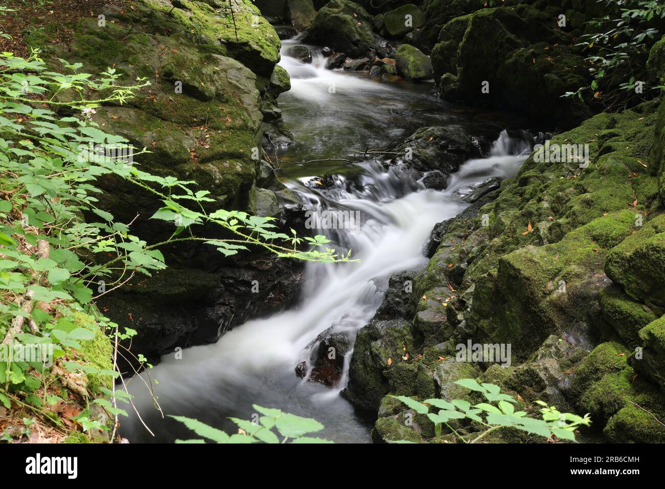 River Erme, Ivybridge, Devon Stock Photo - Alamy