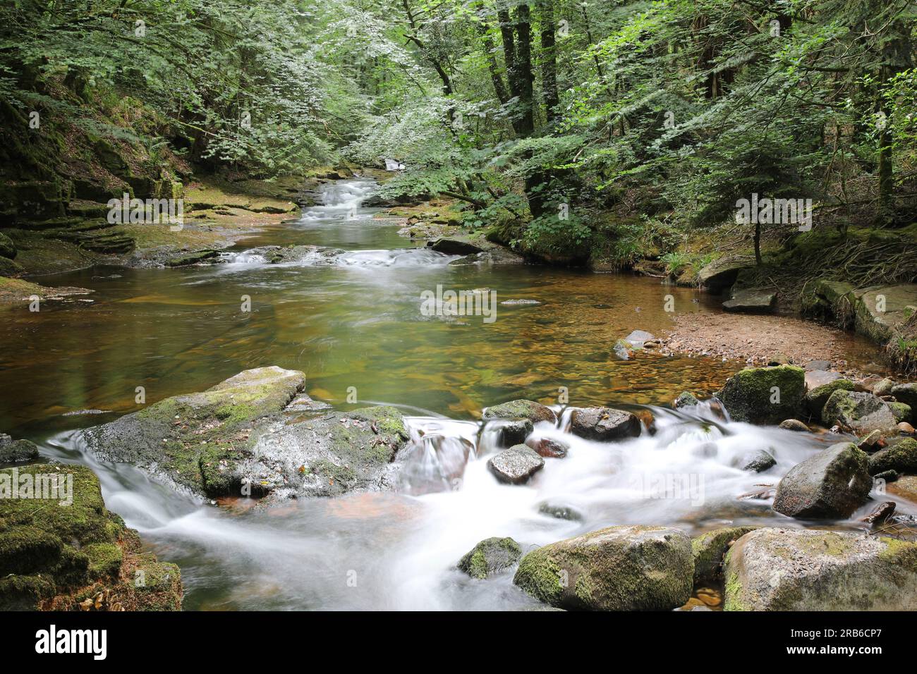 River Erme, Ivybridge, Devon Stock Photo - Alamy