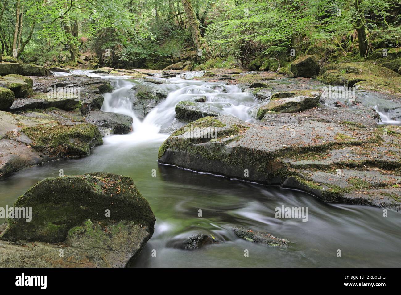 River Erme, Ivybridge, Devon Stock Photo - Alamy