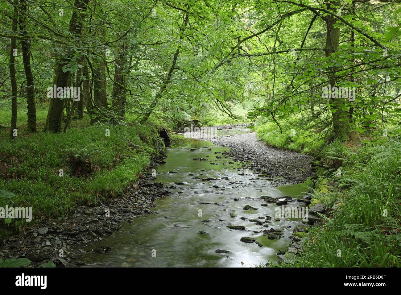 Devon gorge hi-res stock photography and images - Alamy