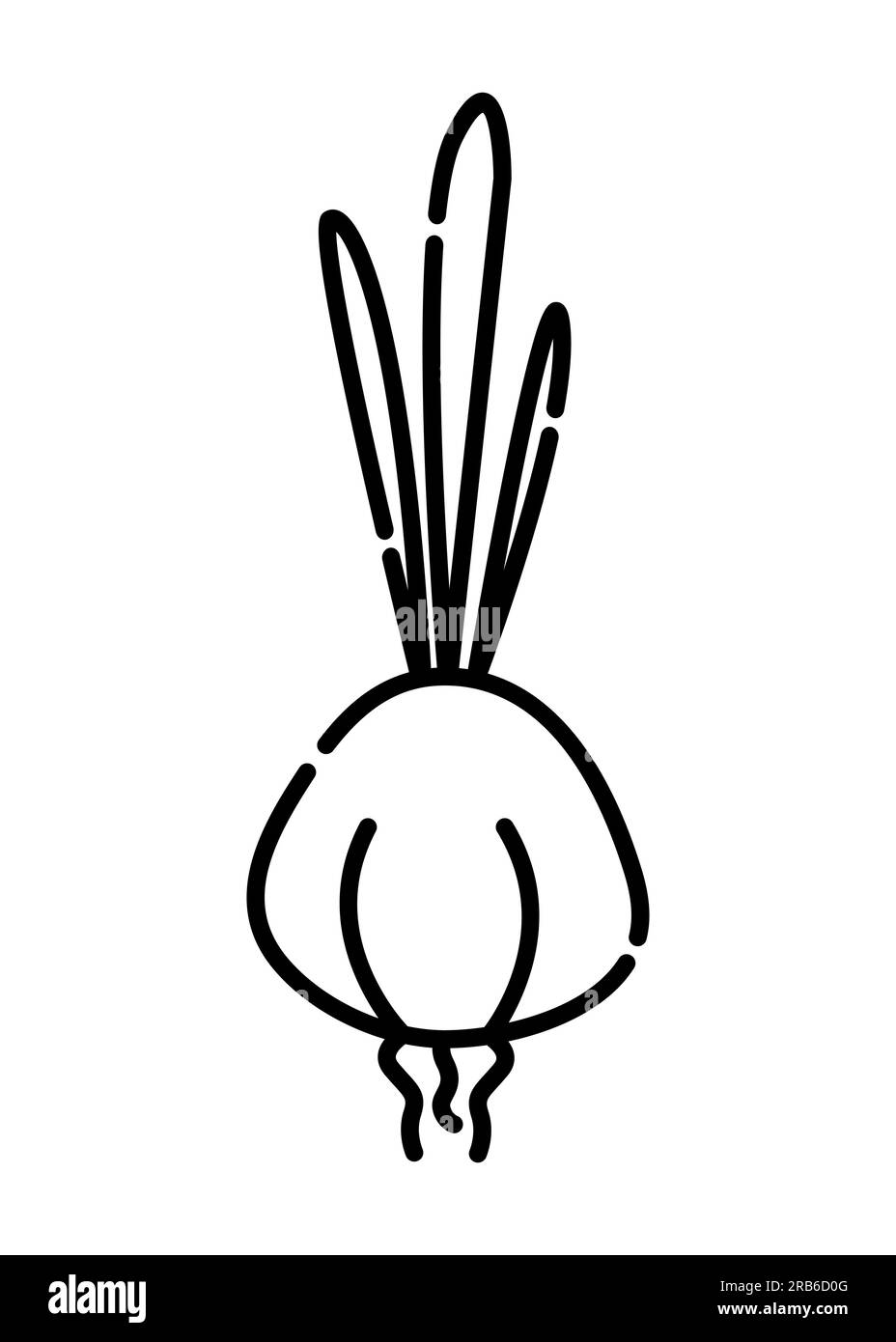 Herbal product vector Black and White Stock Photos & Images - Alamy