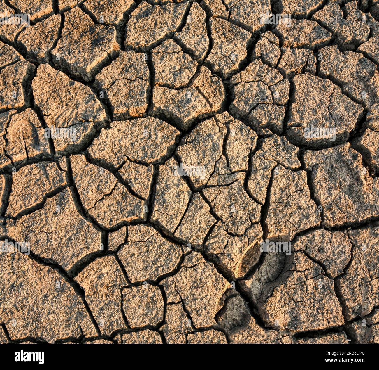 deep footprint in the draught cracked ground, texture Stock Photo - Alamy