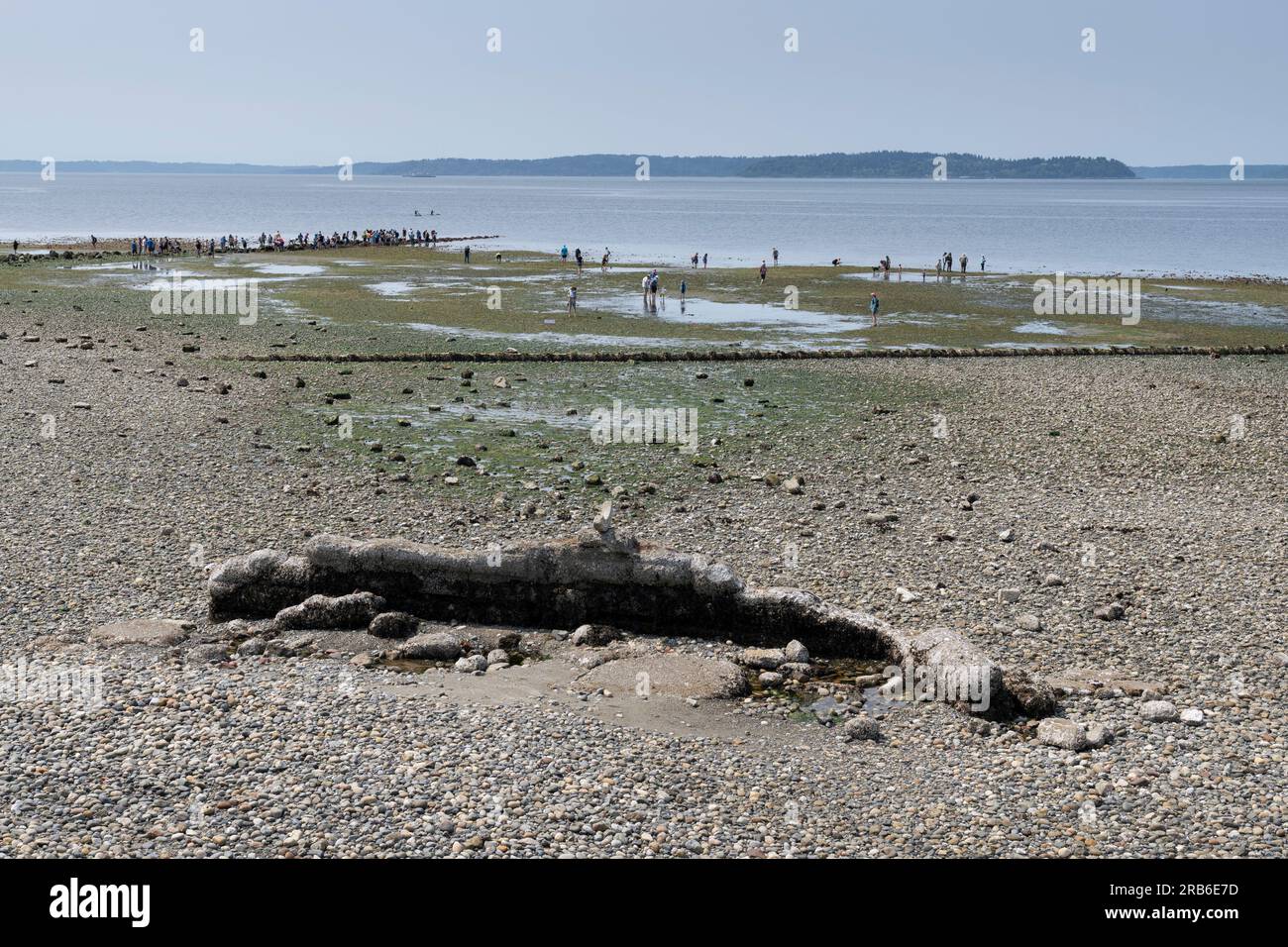 Visitors gather to explore the intertidal zone during the lowest tide ...