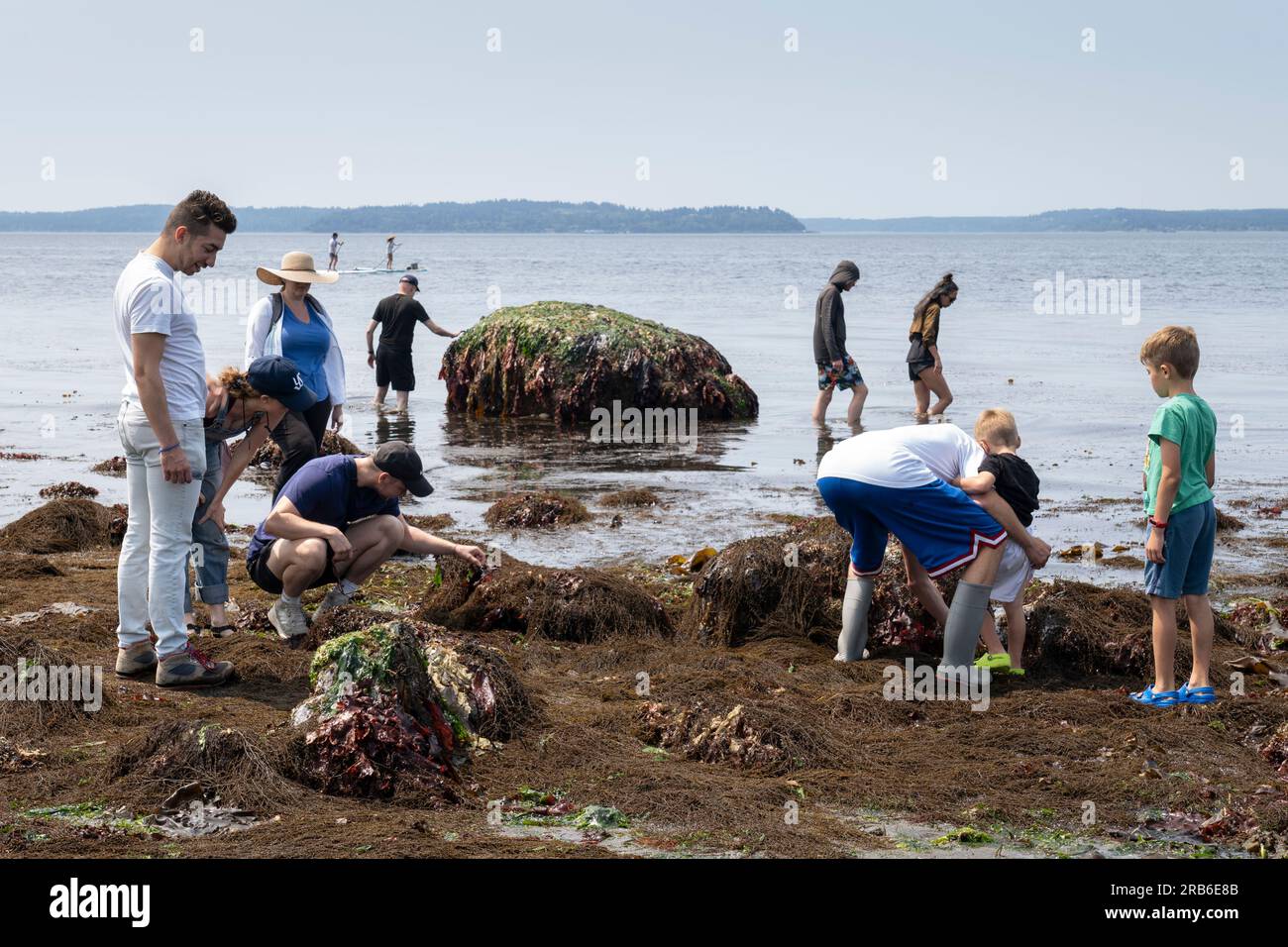 Visitors gather to explore the intertidal zone during the lowest tide ...