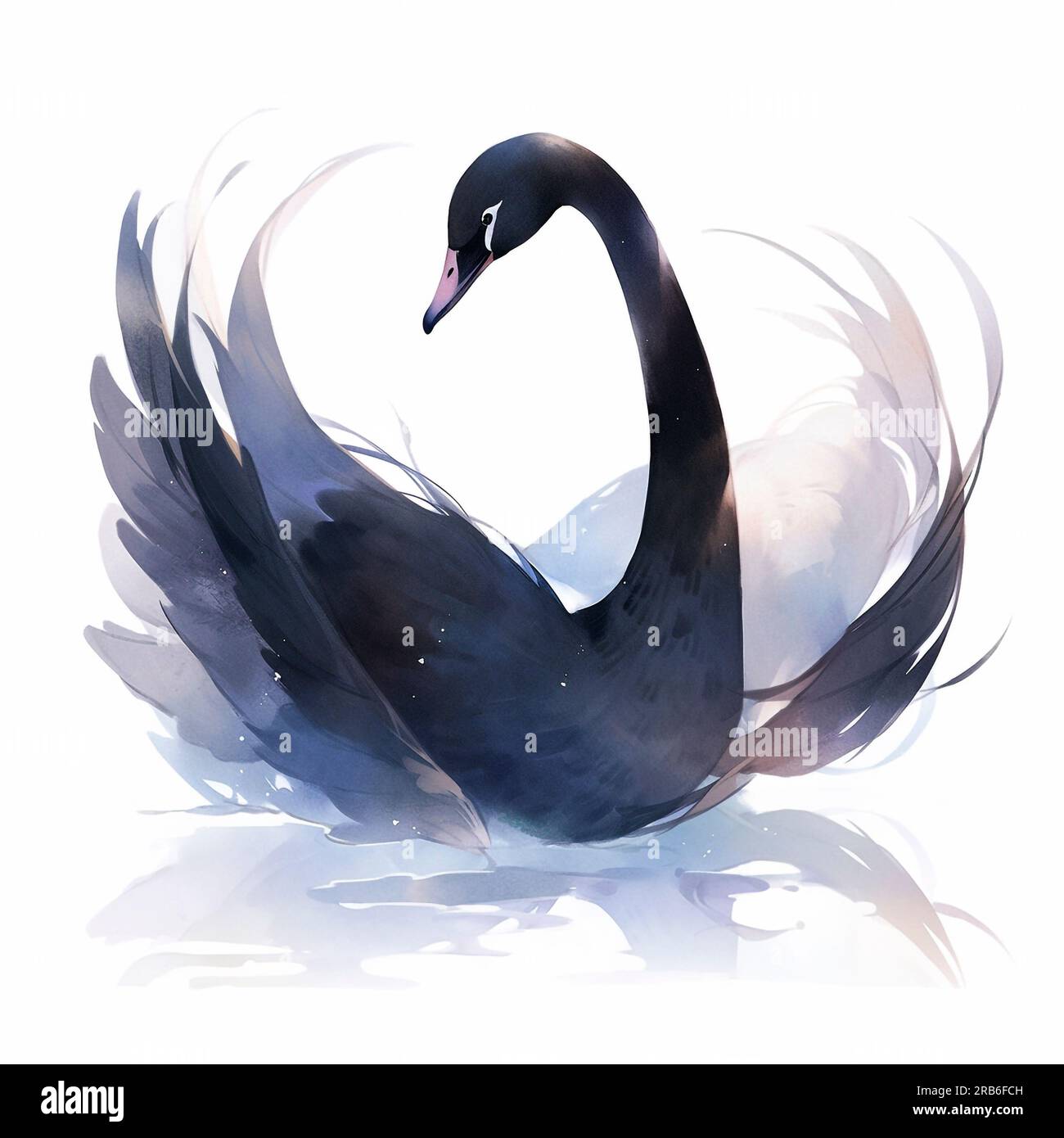 Black Swan Animal Drawing