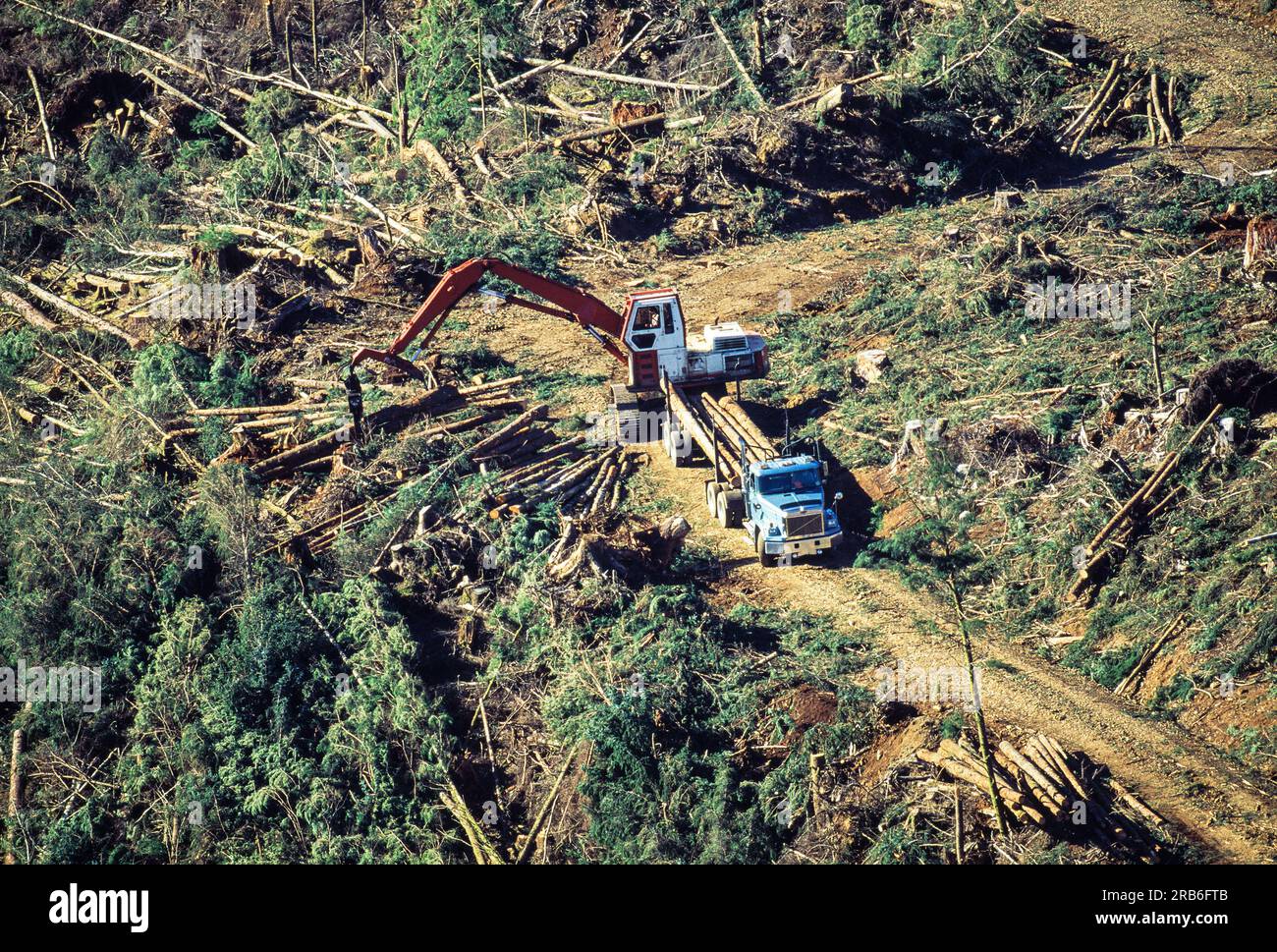 Aerial image of logging Oregon, USA Stock Photo - Alamy
