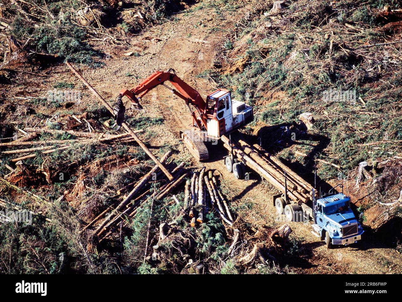 Aerial image of logging Oregon, USA Stock Photo - Alamy