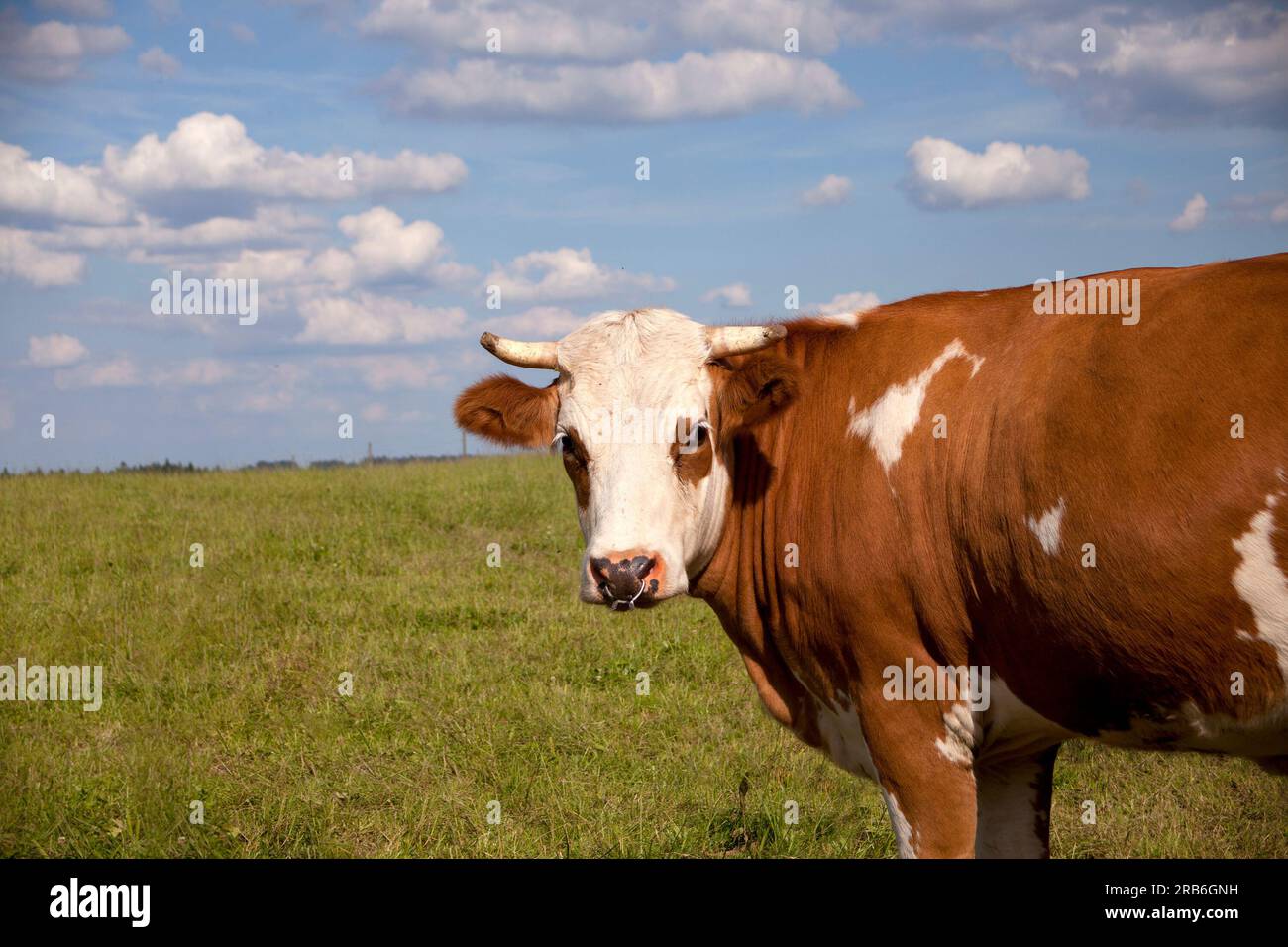 Lie down was standing hi-res stock photography and images - Alamy