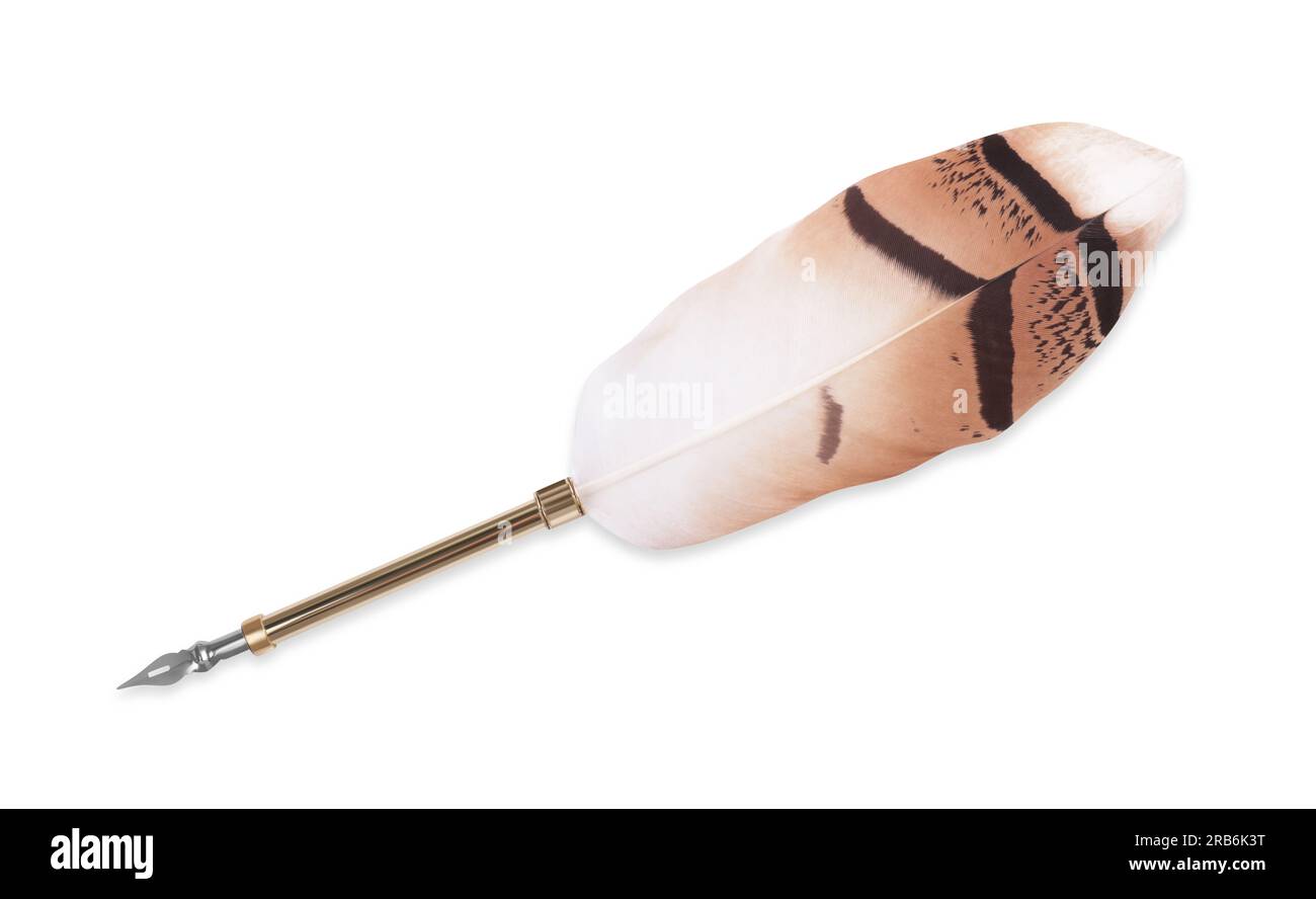 Stylish feather pen isolated on white, top view Stock Photo - Alamy
