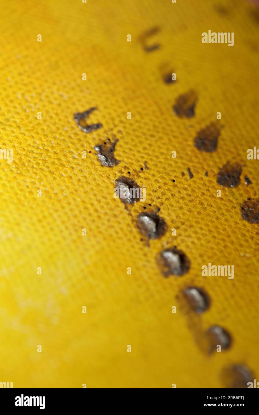 Abstract acrylic watercolor smear color painting on canvas horizontal ...