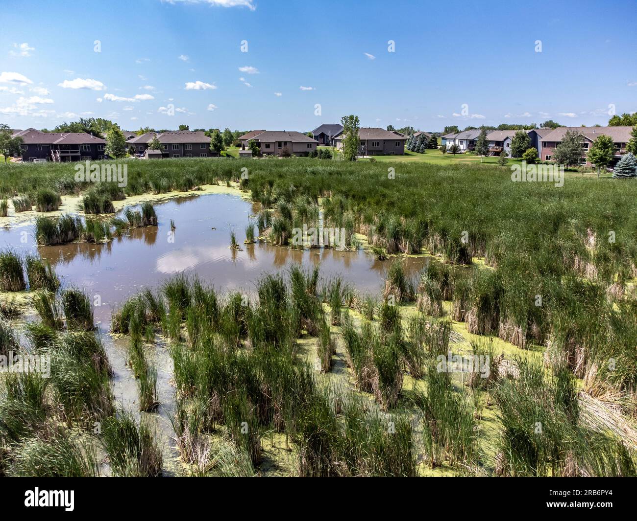 Drone view over marsh wetland and cattails in a drainage area between ...
