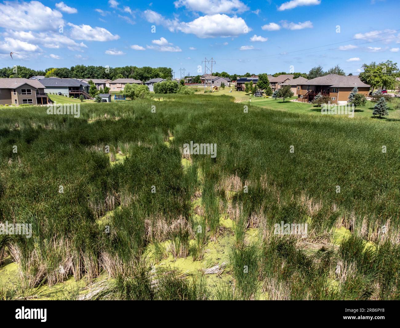 Drone view over marsh wetland and cattails in a drainage area between ...