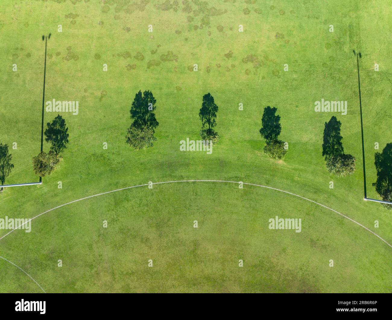 Top down aerial trees and their shadows on a green sports field at ...