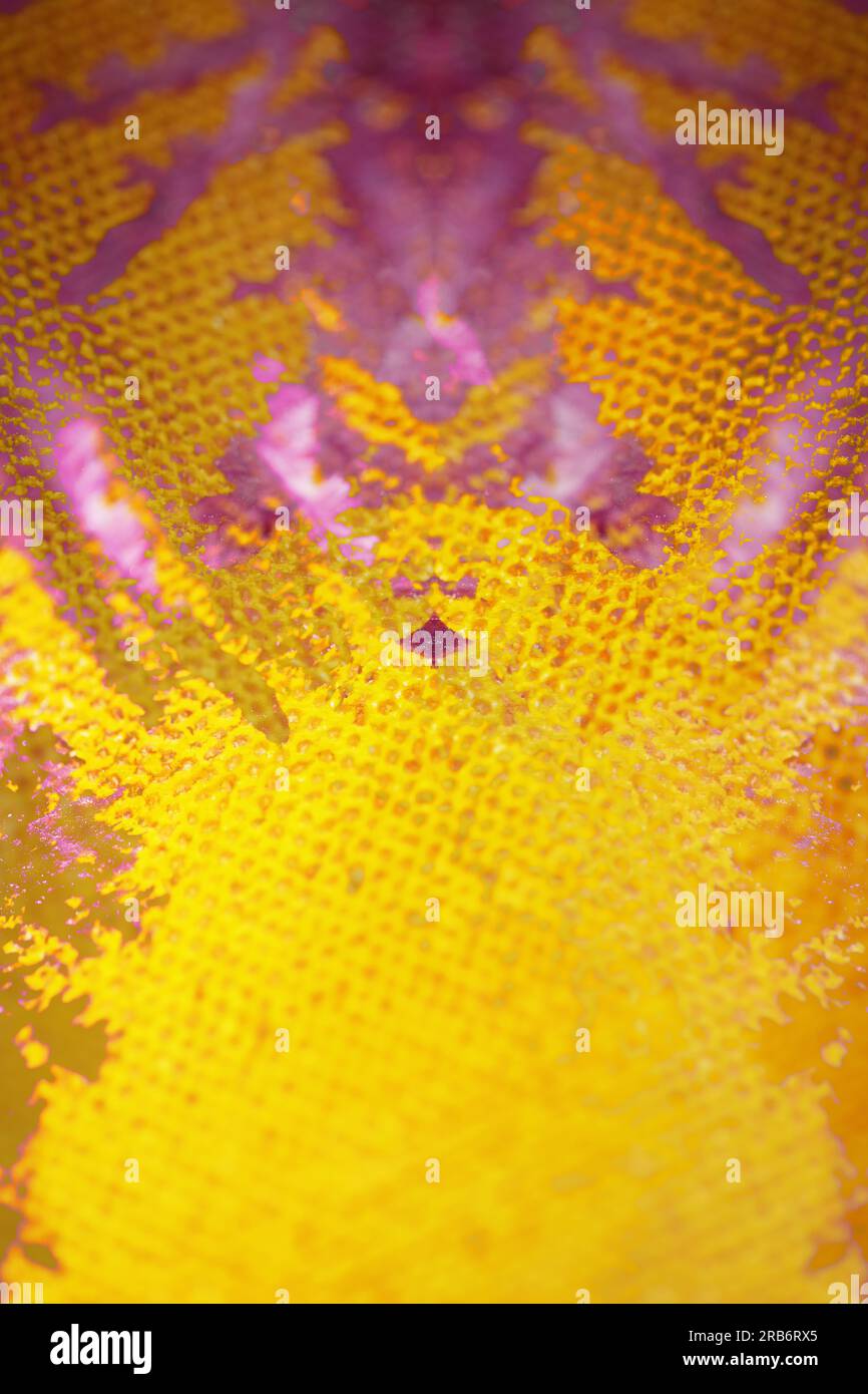 Double acrylic watercolor design smear color painting on canvas ...