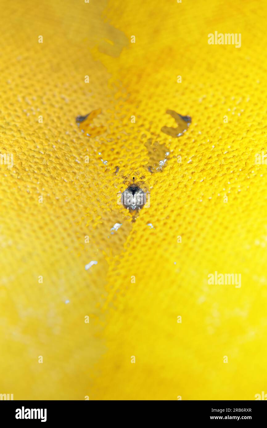 Double acrylic watercolor design smear color painting on canvas ...