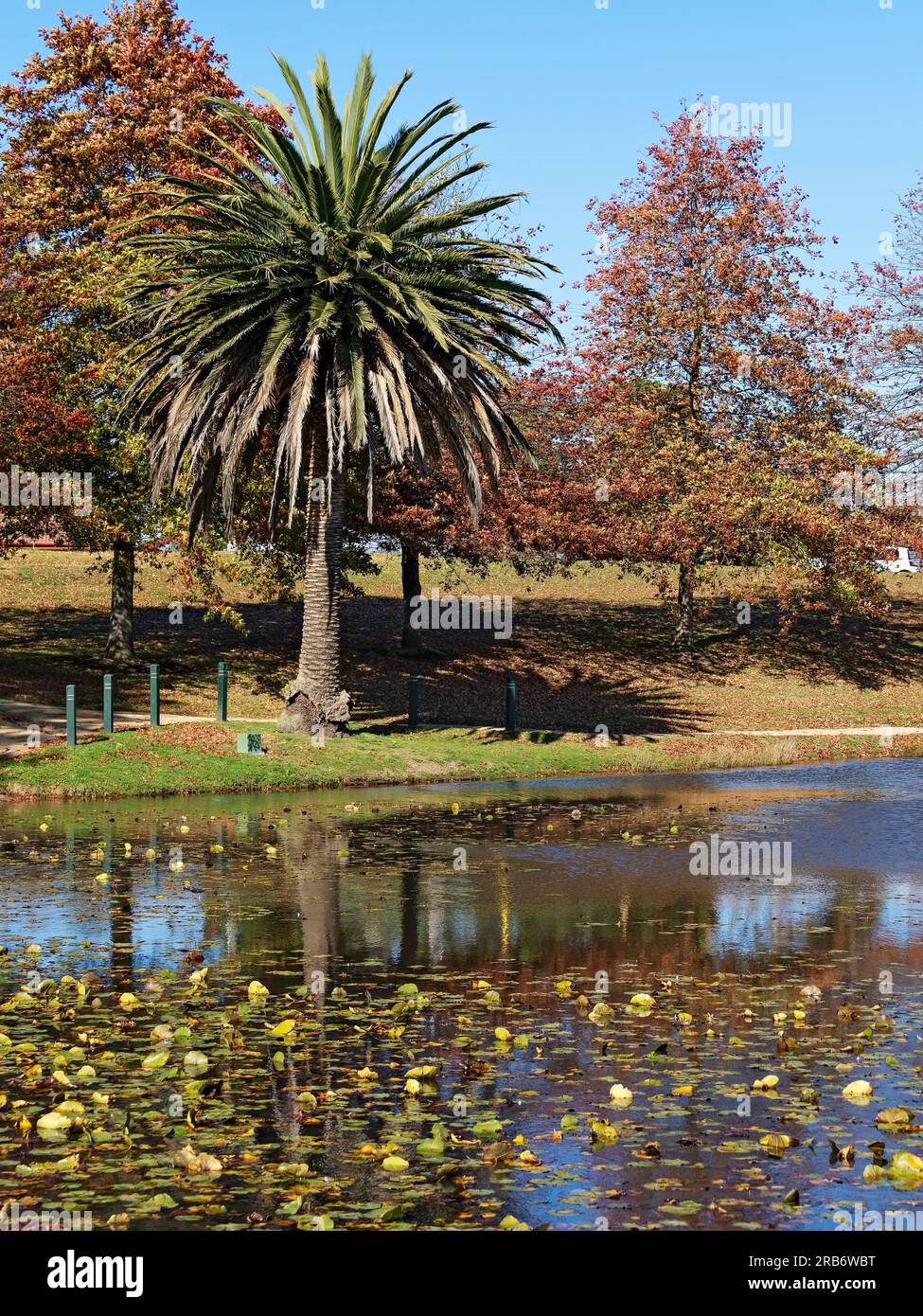 Eureka stockade memorial park hi-res stock photography and images - Alamy