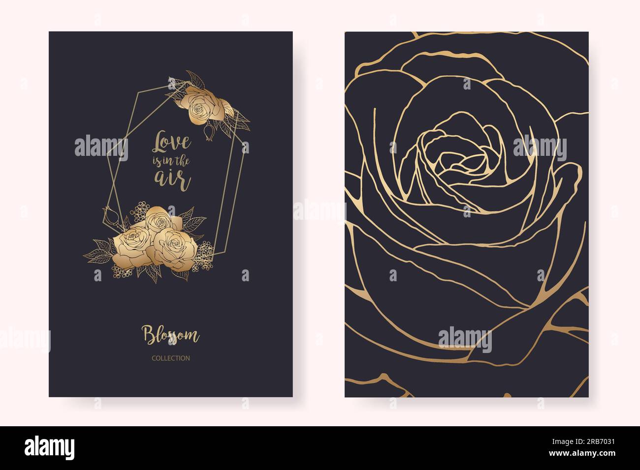 Set of two cards for wedding invitation, birthday greeting with rose flowers Stock Vector Image ...