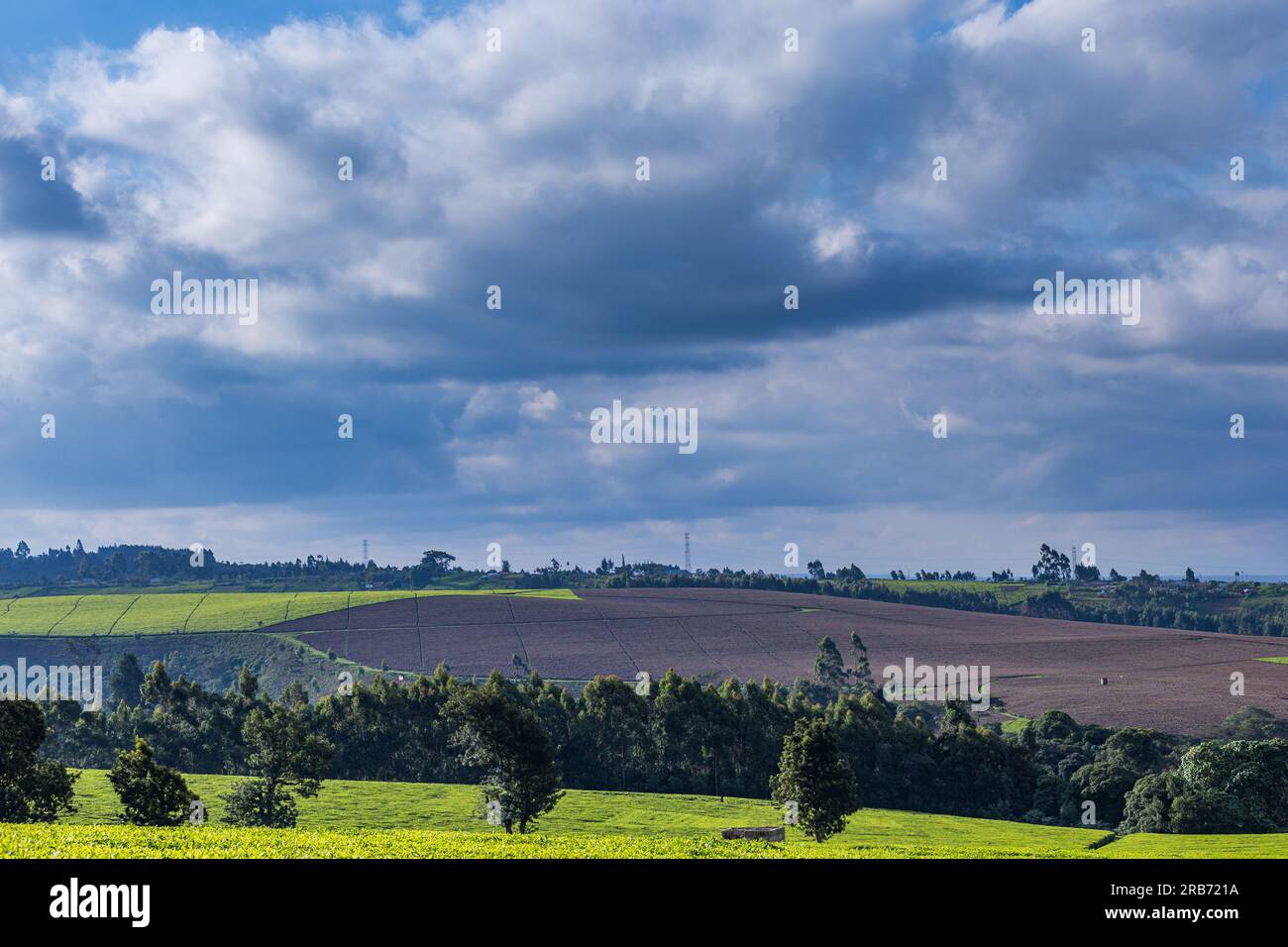 Digo obinja hi-res stock photography and images - Alamy