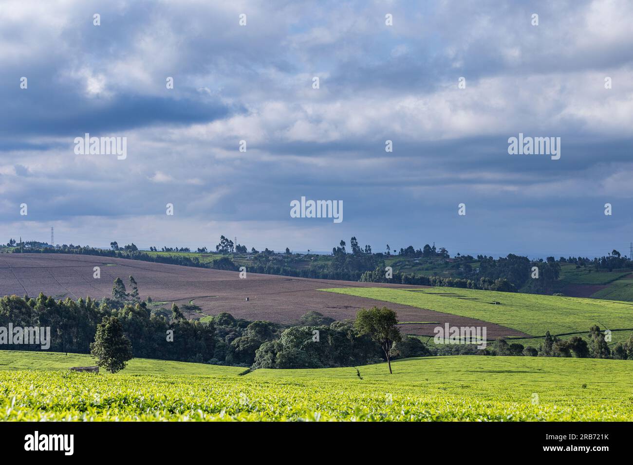Digo obinja hi-res stock photography and images - Alamy
