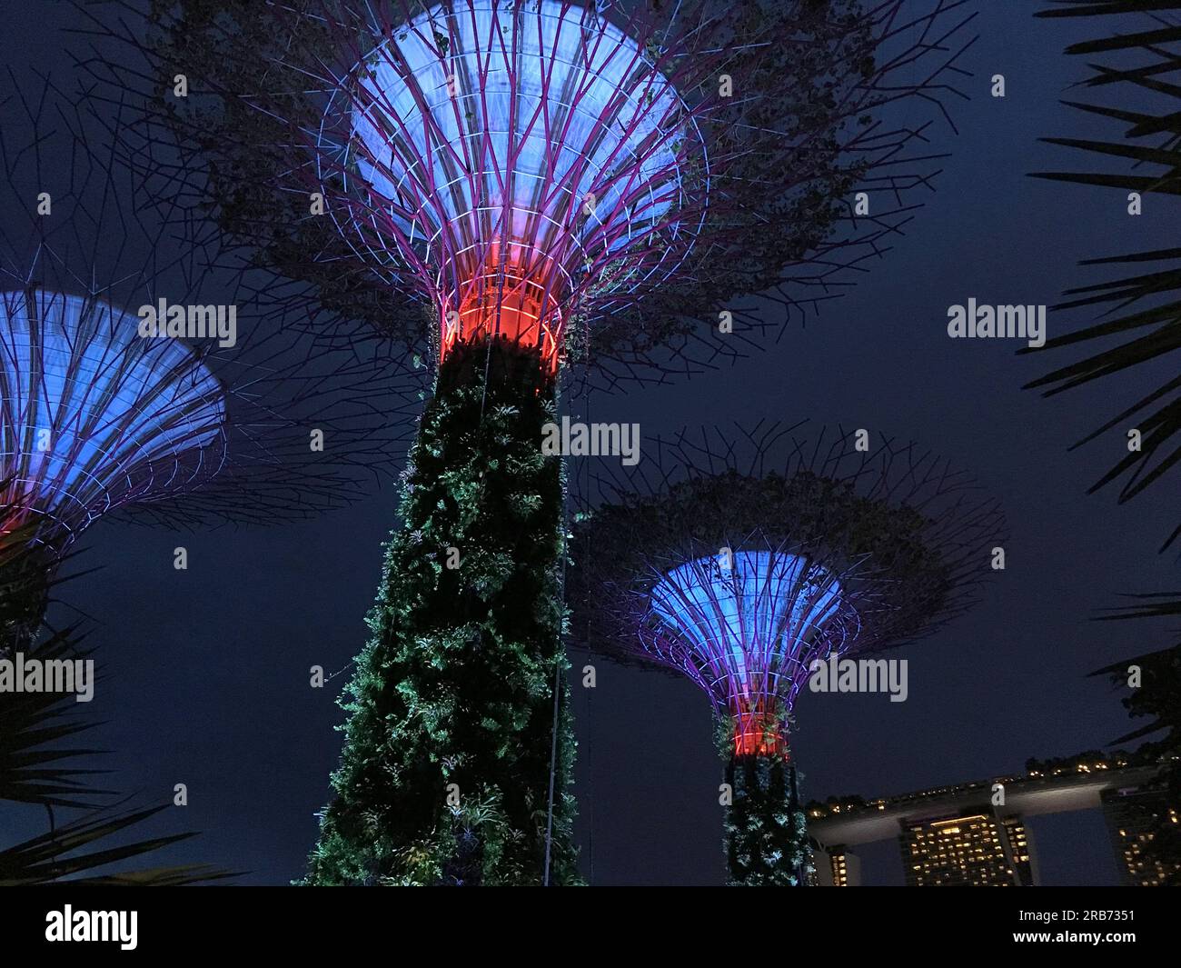 Light night tree in Garden by the Bay, Singapore. Supertree Grove Stock ...