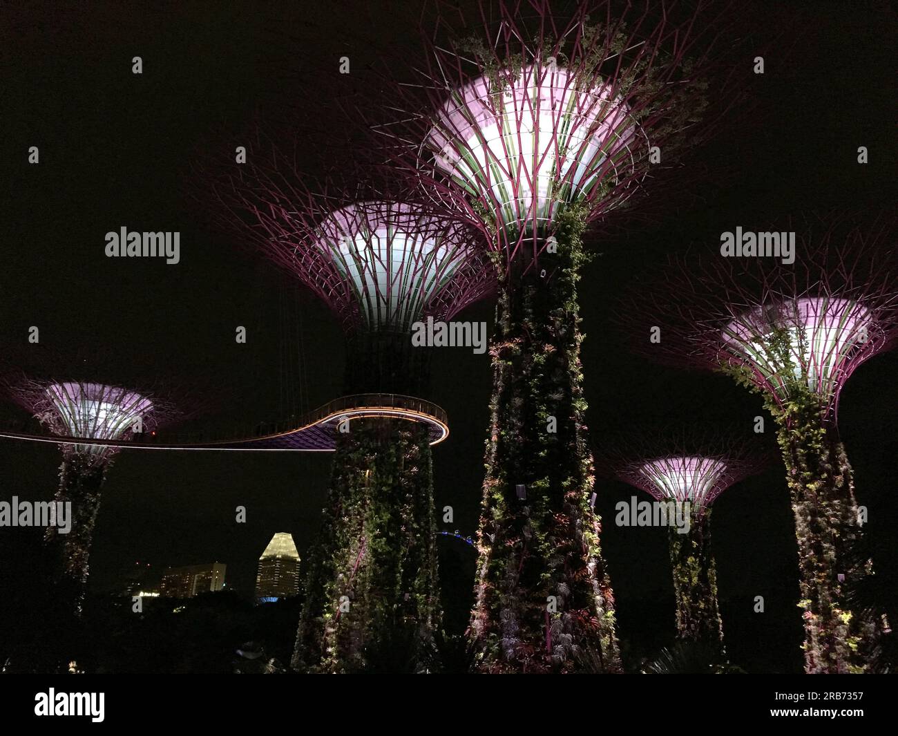 Light night tree in Garden by the Bay, Singapore. Supertree Grove Stock ...