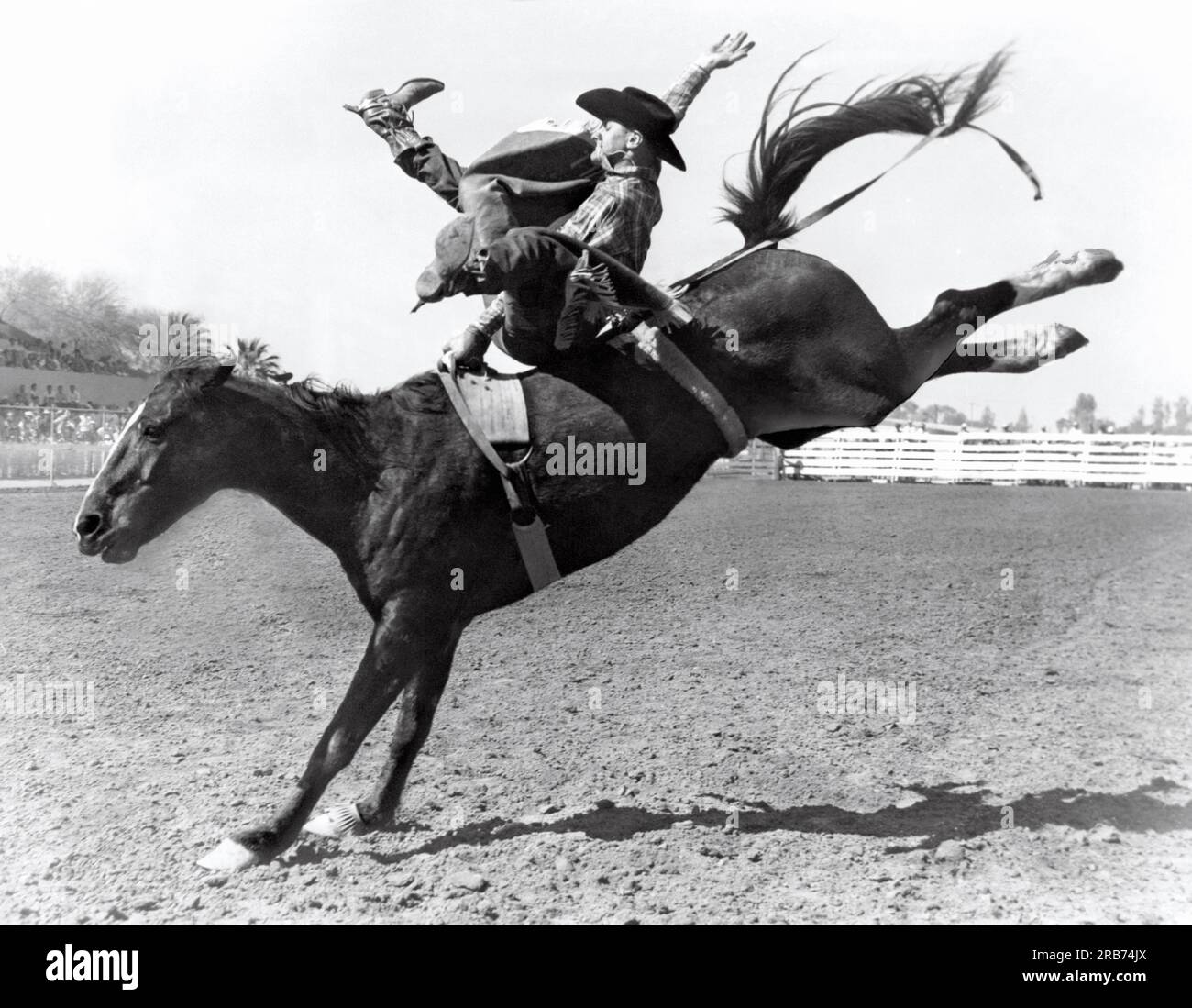 Kansas City, MIssouri: c. 1950. The bareback rider must cling to the ...