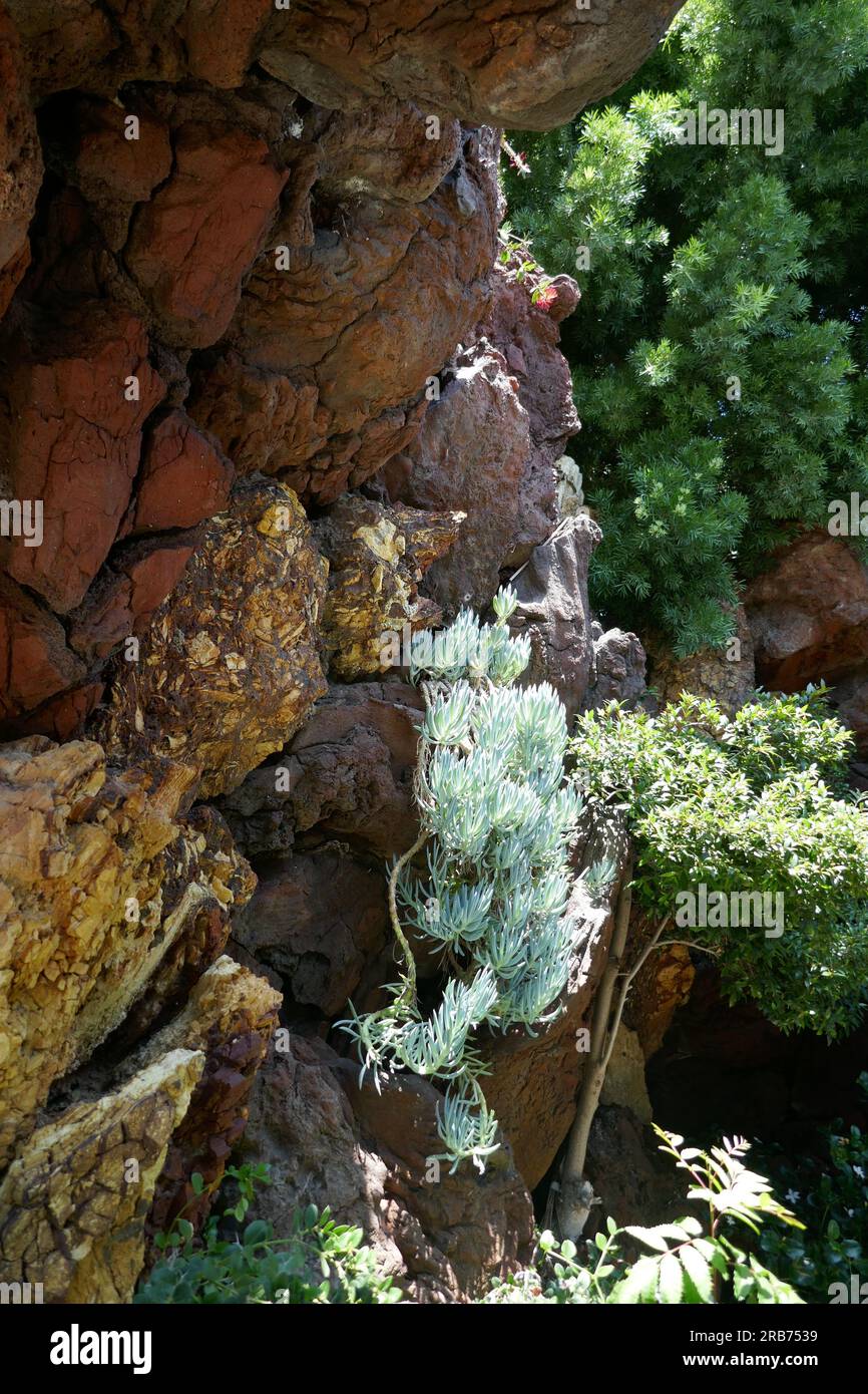 Grotto of holy cross cemetery hi-res stock photography and images - Alamy
