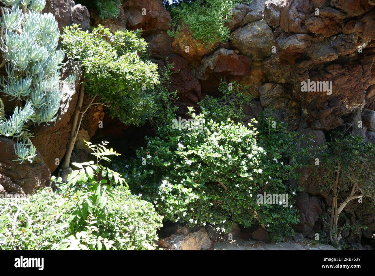 Grotto of holy cross cemetery hi-res stock photography and images - Alamy