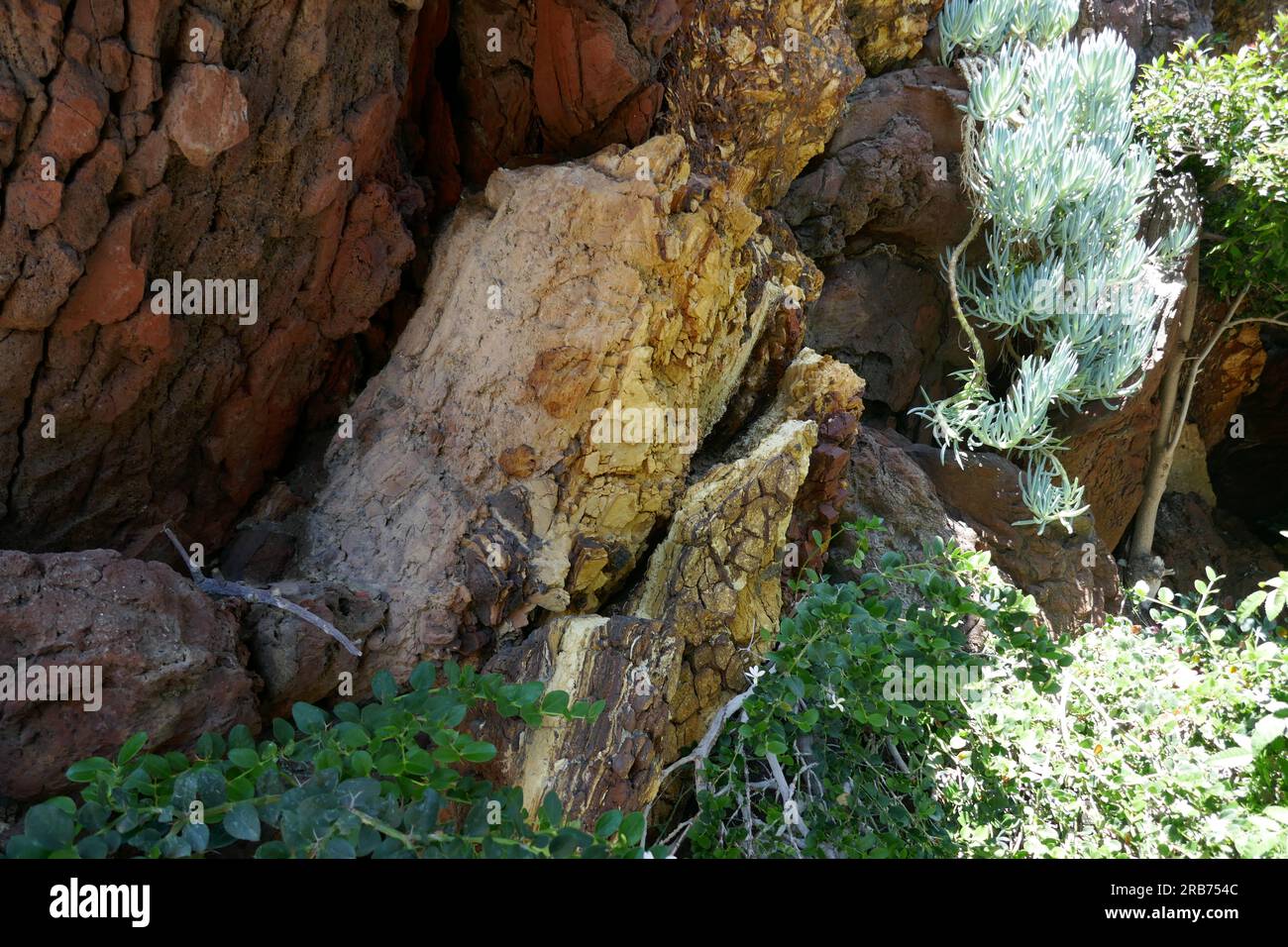 Culver City, California, USA 6th July 2023 The Grotto at Holy Cross ...