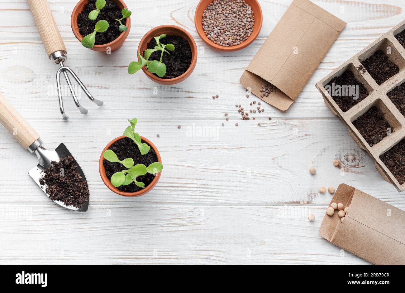 Gardening concept, planting at home. Set of gardening tools and ...